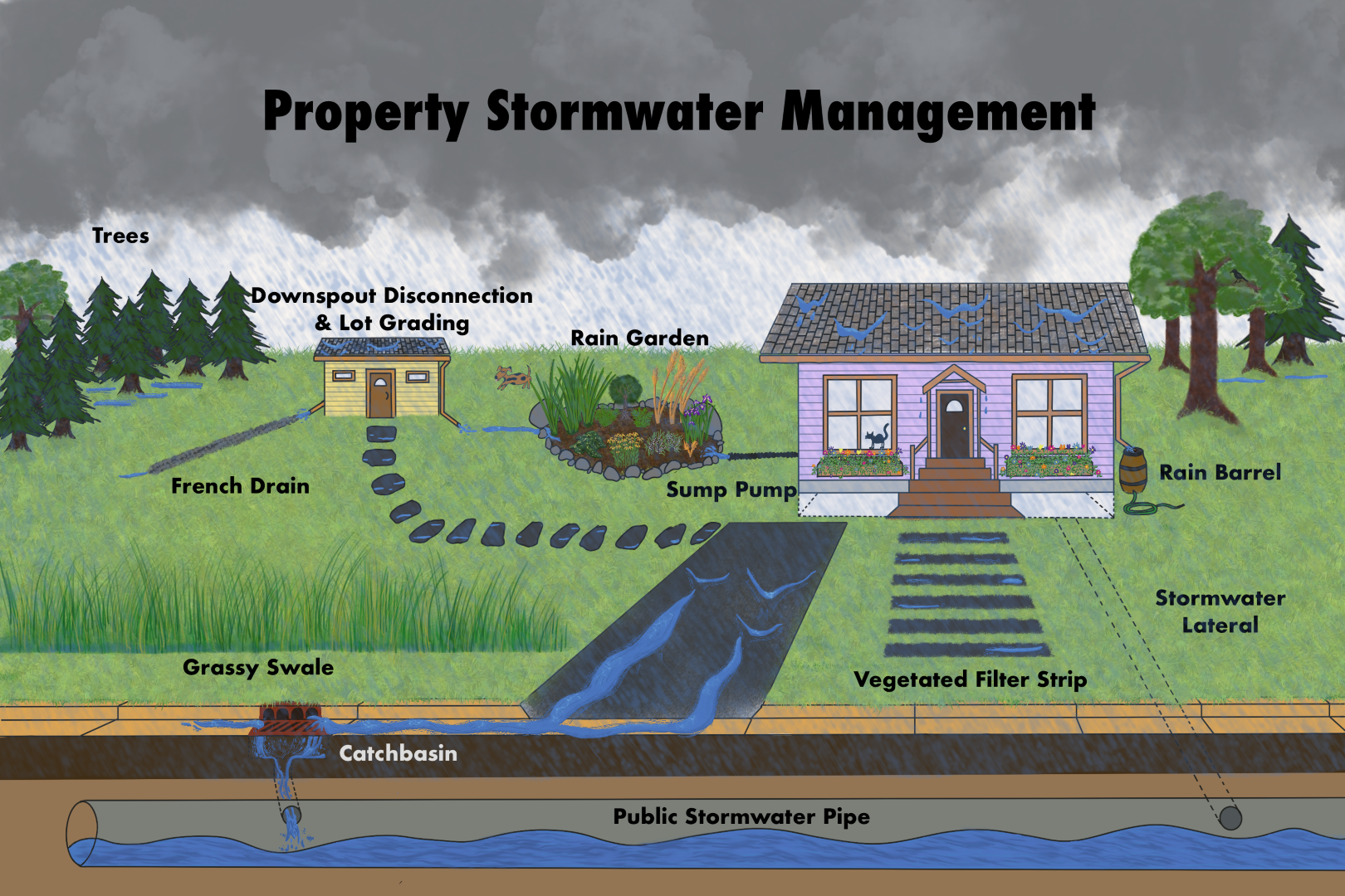 How To Manage Stormwater | Halifax Water